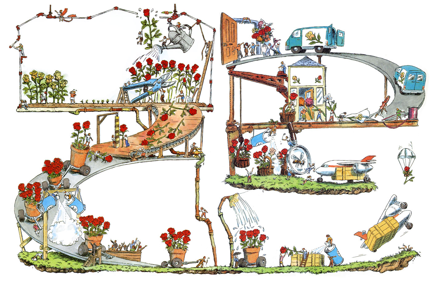 Steve Fricker | Illustrator/Artist